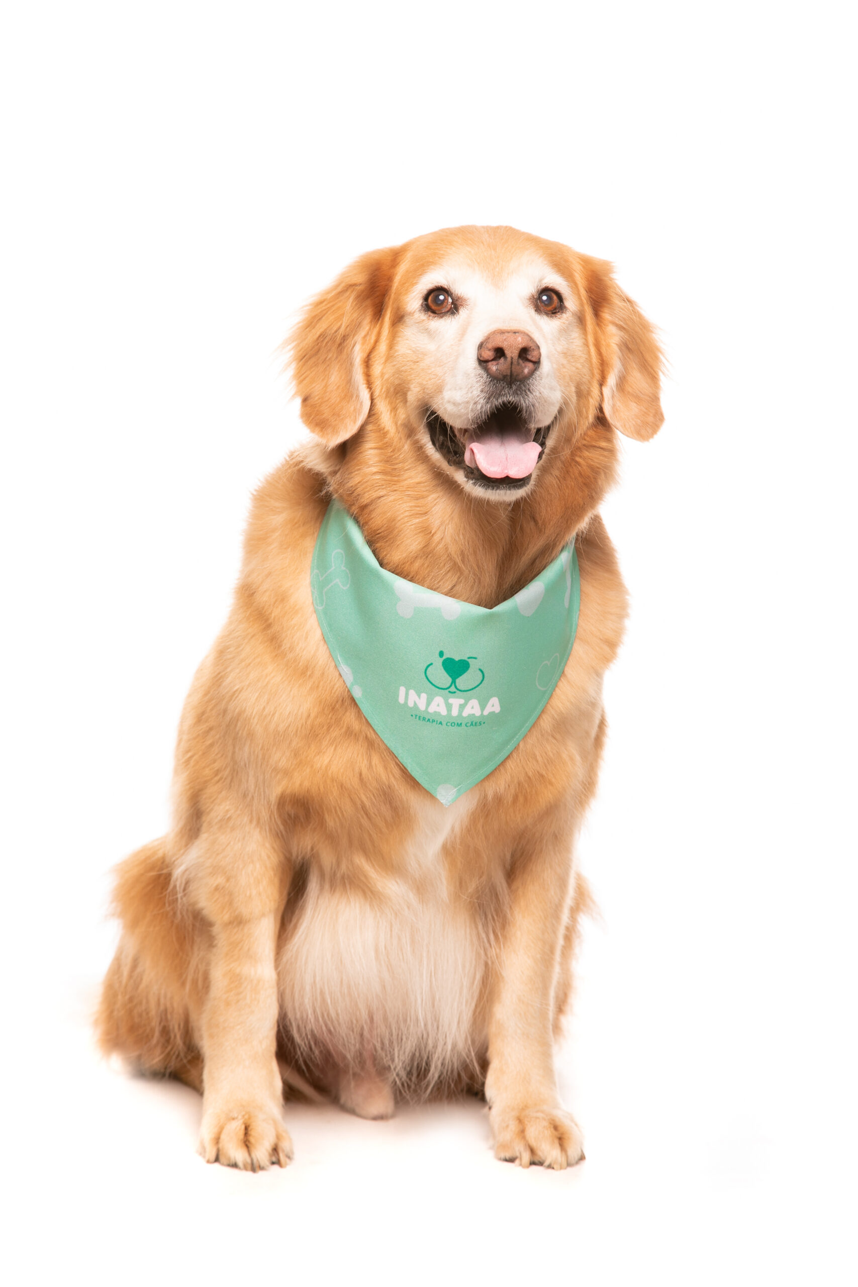 ApadrinhaCÃO | INATAA