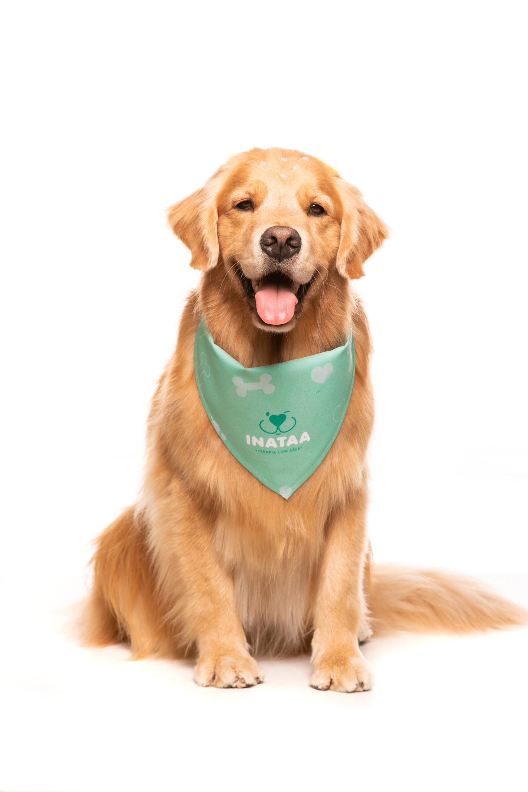 ApadrinhaCÃO | INATAA