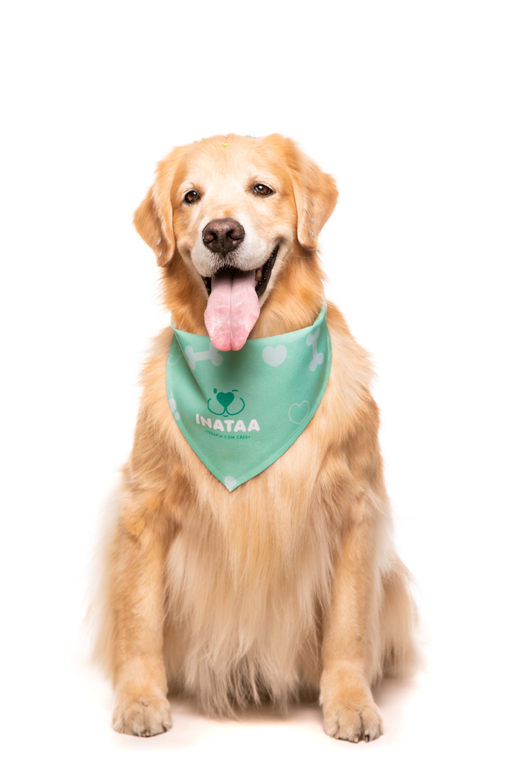 ApadrinhaCÃO | INATAA